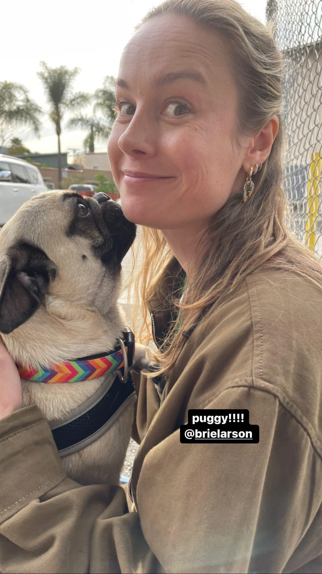 Pug life. | Scrolller