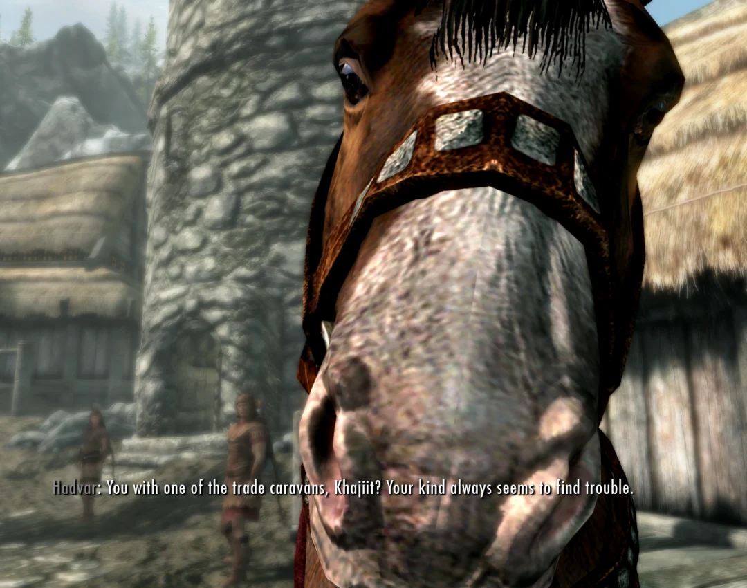 Began a Khajiit run 4 days ago... | Scrolller