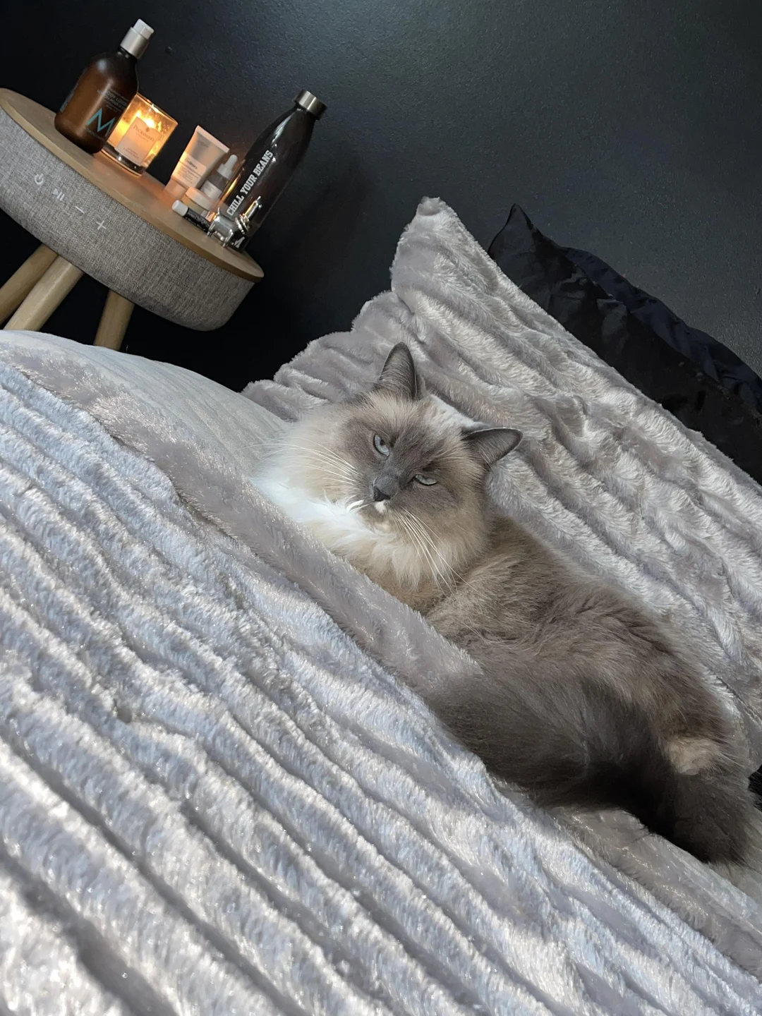 Floofy loaf? | Scrolller