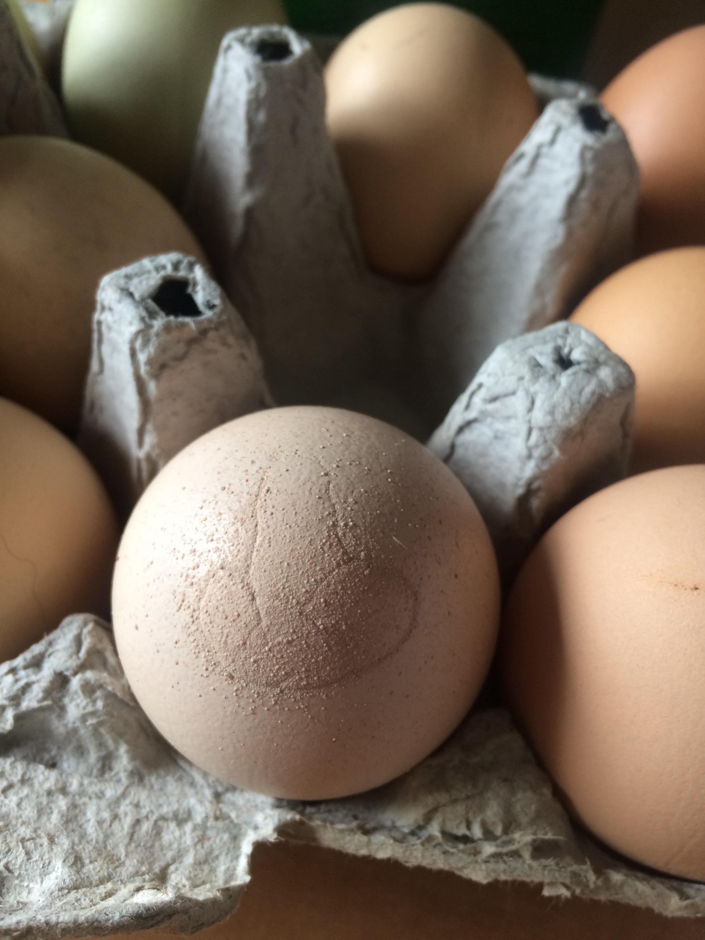 Umm, does that look like what I think it looks like? | Scrolller