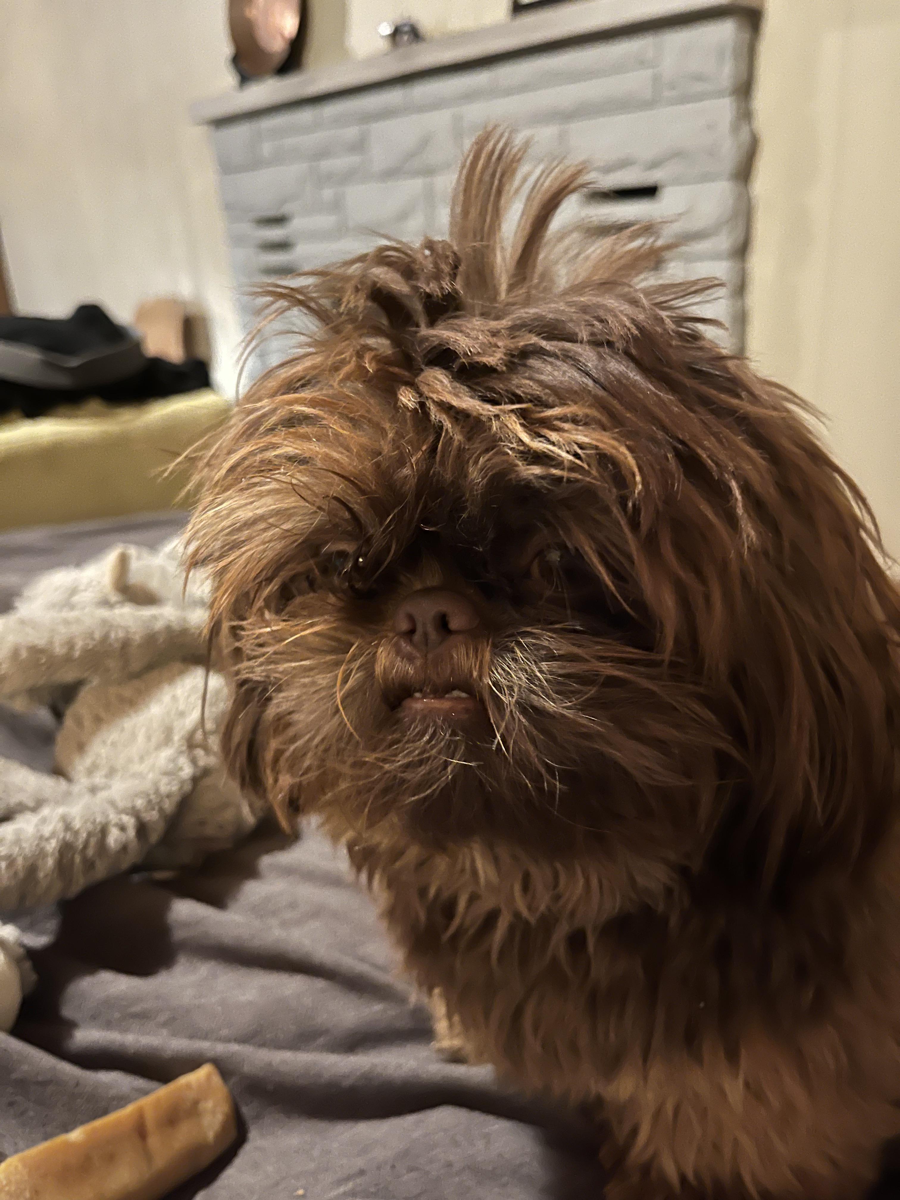 Bad Hair Day Scrolller