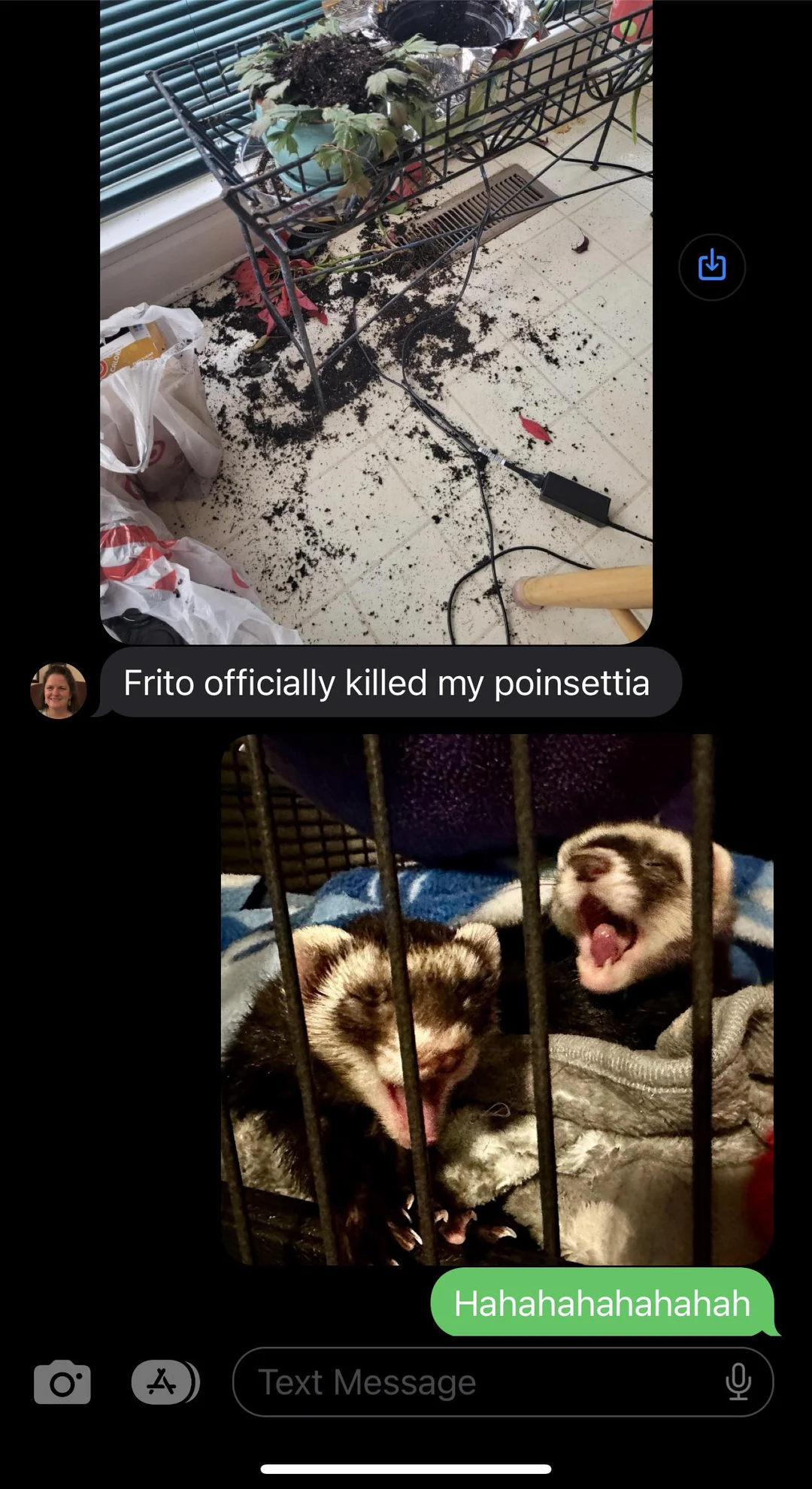 No remorse | Scrolller