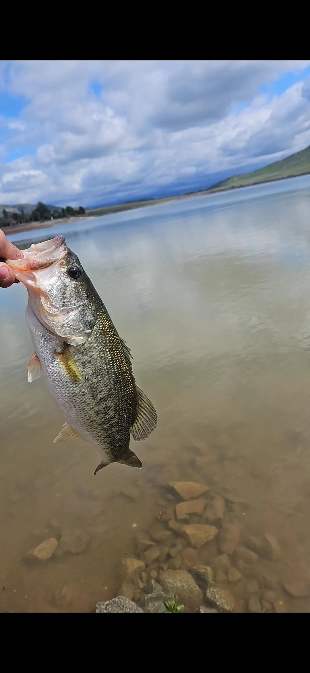 First fish | Scrolller