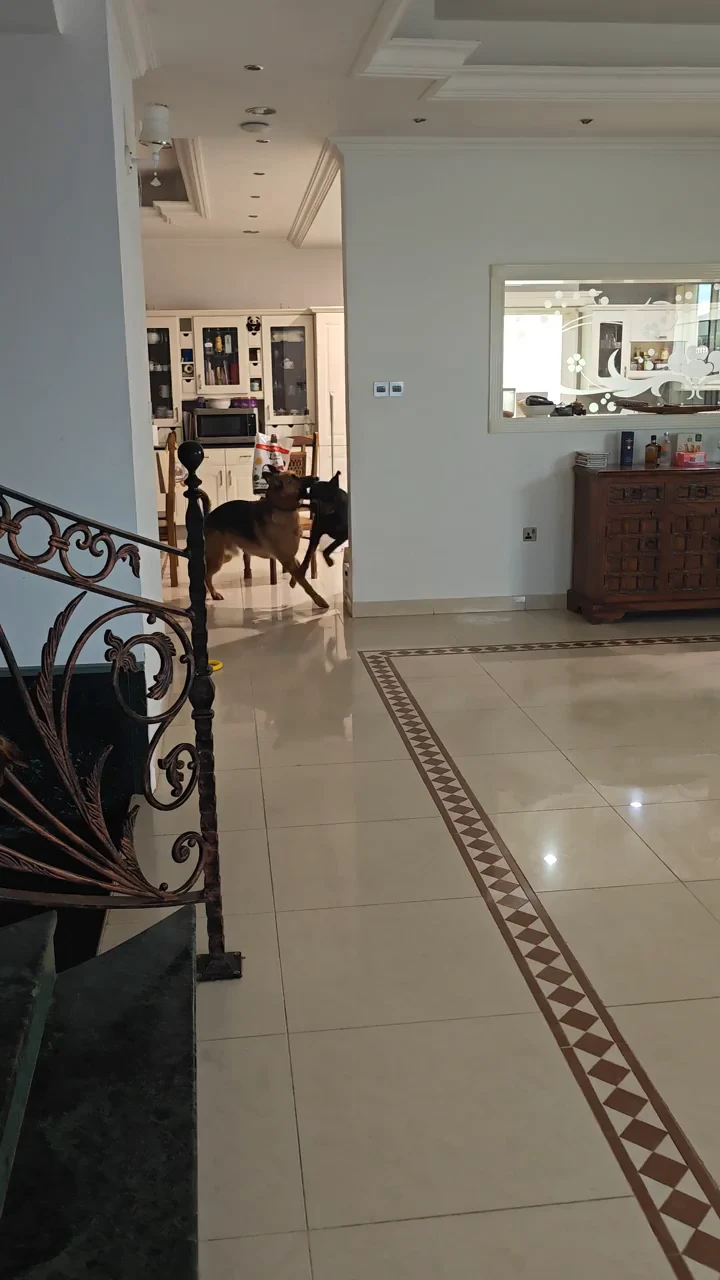 When his friend comes to visit.... | Scrolller