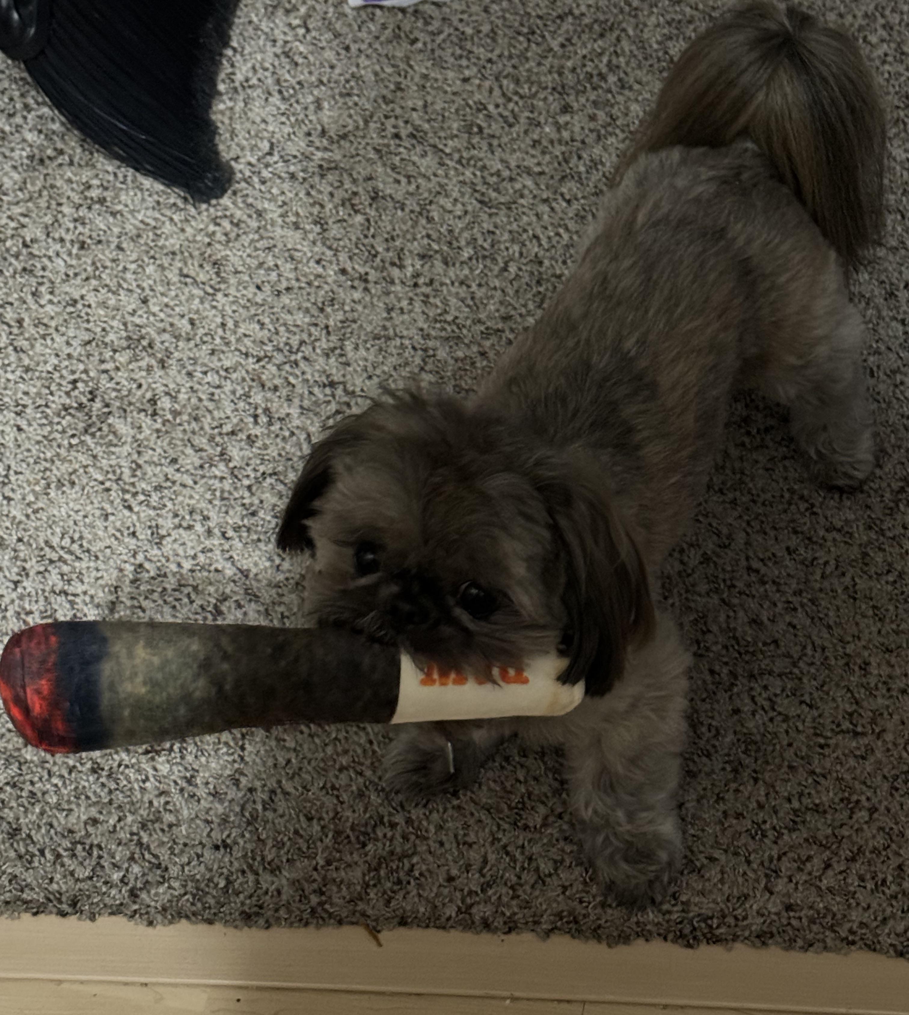 Puff puff pass my guy | Scrolller