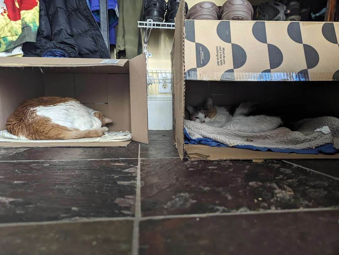 The floor is heated so my wife dubbed these their "EZ-Bake ovens" | Scrolller