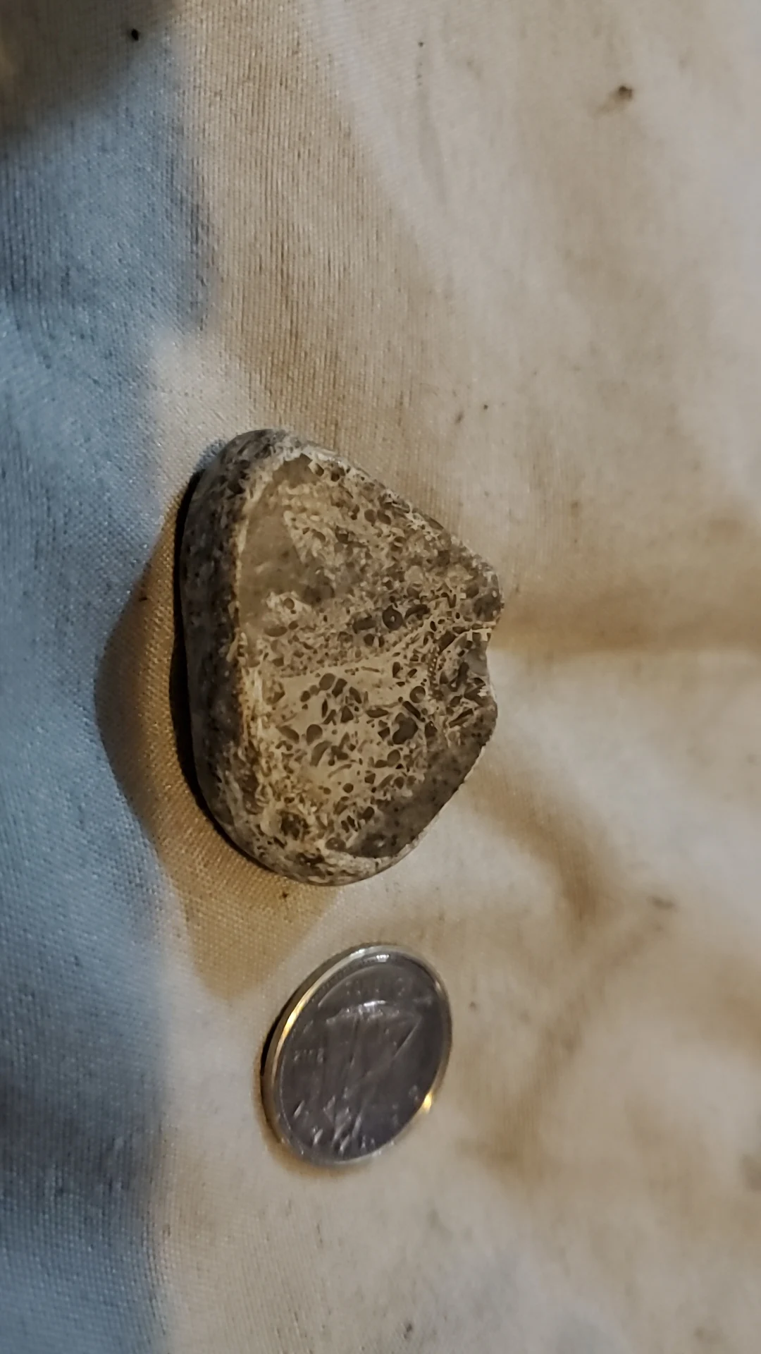 Discover more like FossilPorn: Bow river, Calgary Ab. and Related Content | Scrolller