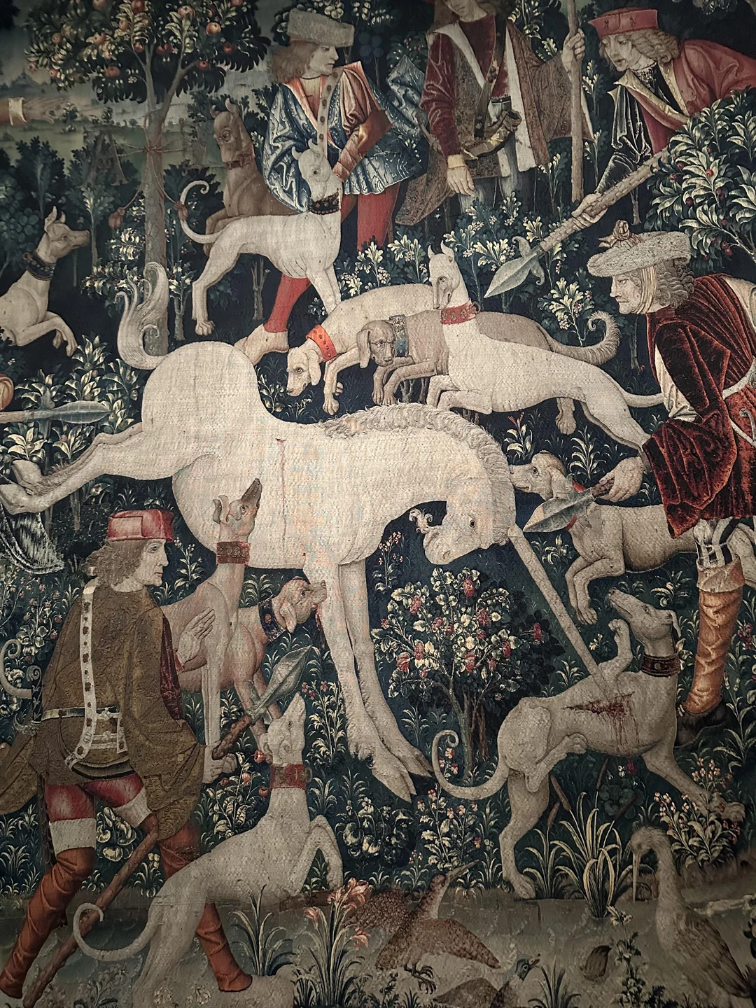 Medieval greyhounds - watch out for those horns.. | Scrolller