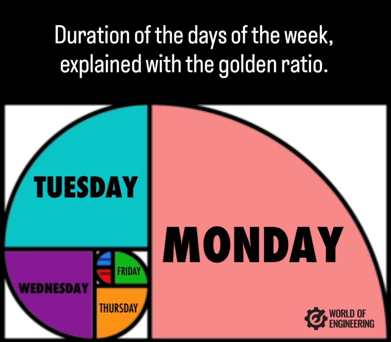 Fibonacci circles in real life | Scrolller