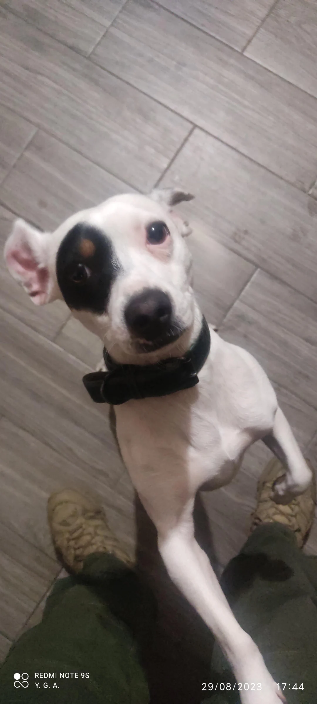 Mr. Morgan, the new member of the squad. | Scrolller