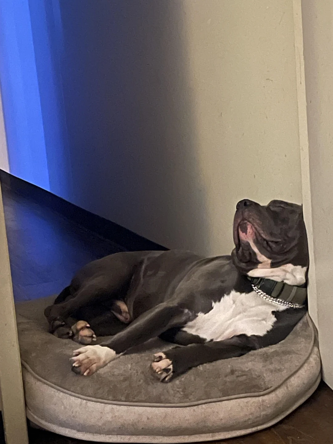 Nappy nap | Scrolller