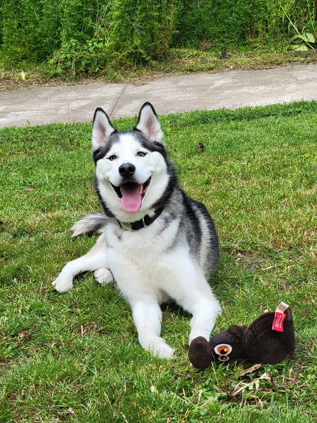 Pure happiness | Scrolller