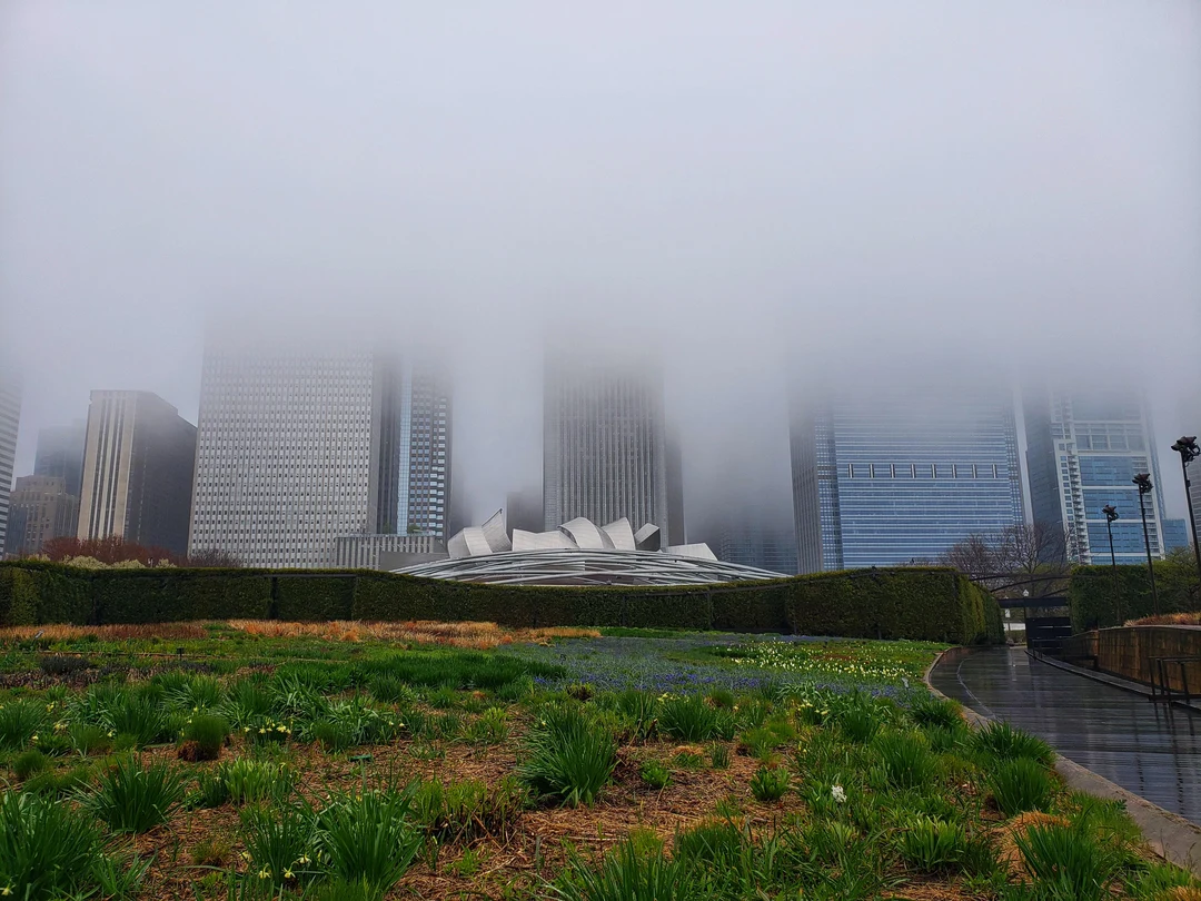 Millennium Park in the early spring fog, Chicago [OC] | Scrolller