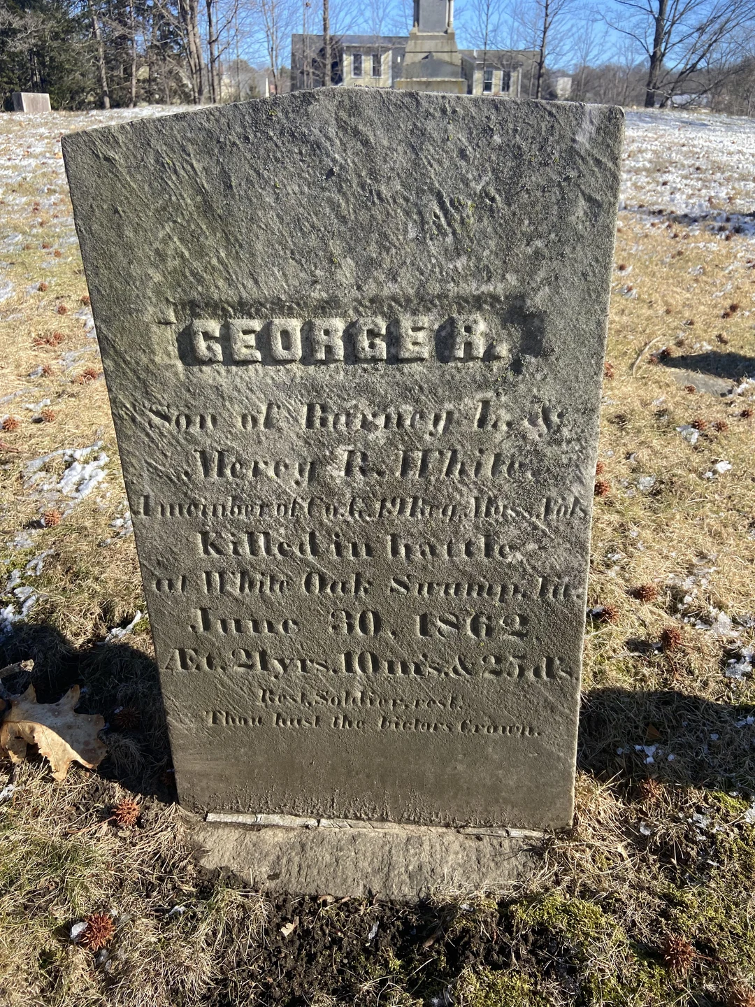 Newton, MA | Scrolller