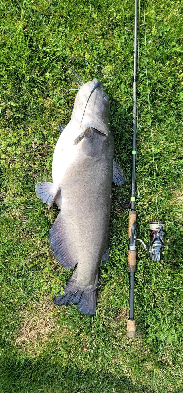 Well, I guess this is my totally accidental PB Catfish | Scrolller