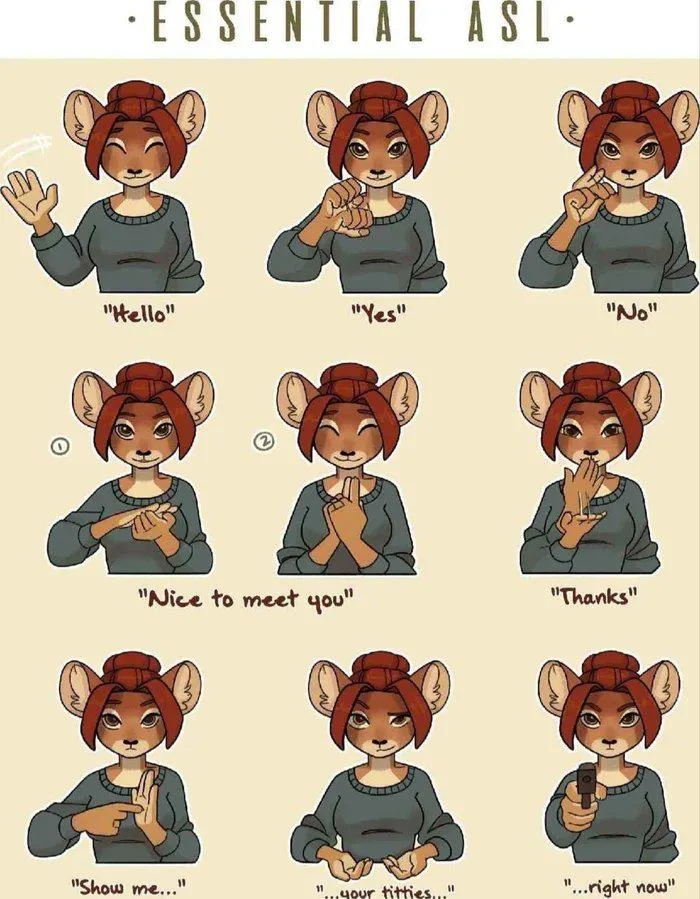 Just the basics | Scrolller