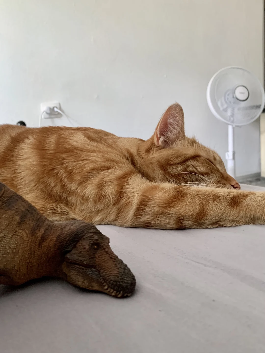 Two orange beasts | Scrolller