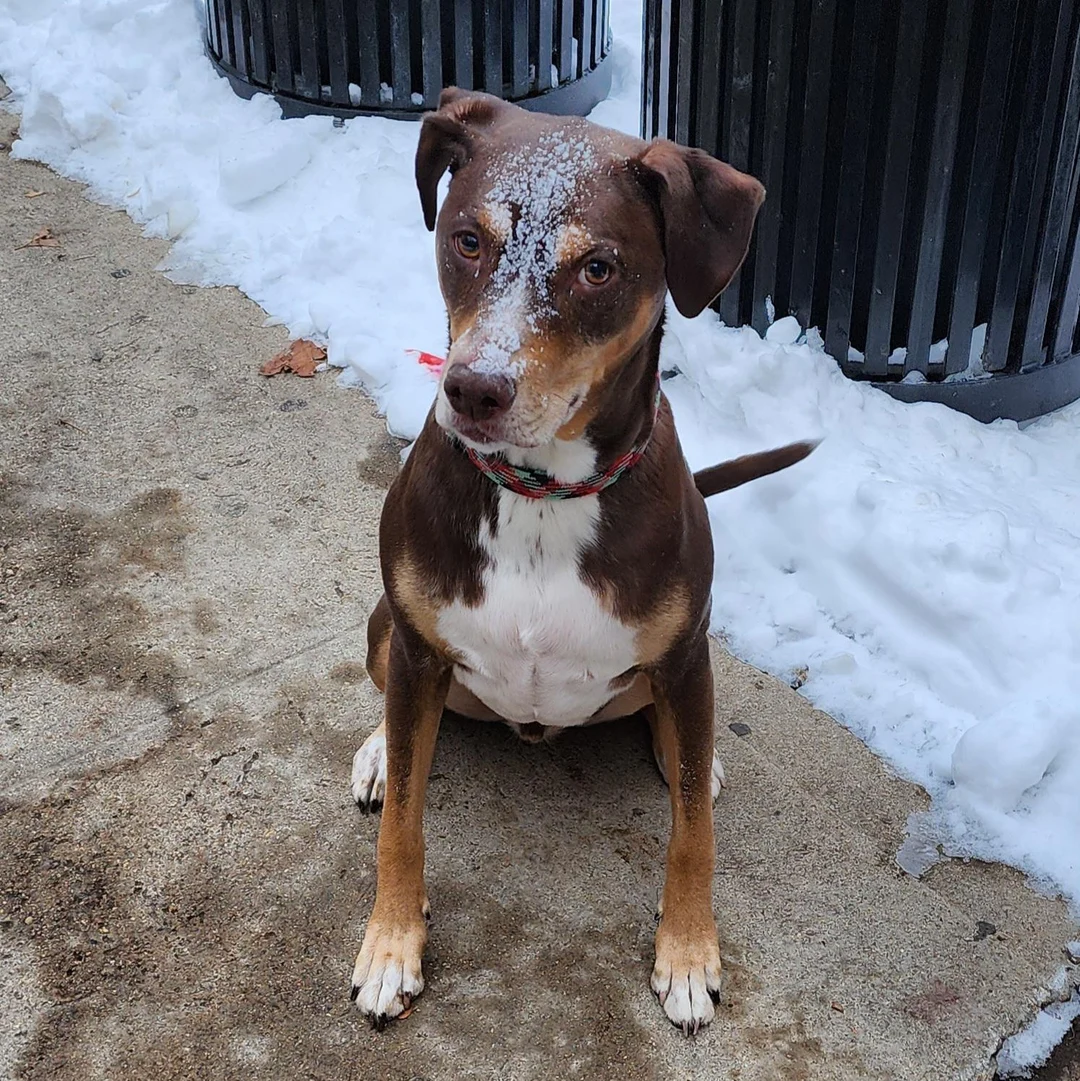 Throw it again. | Scrolller