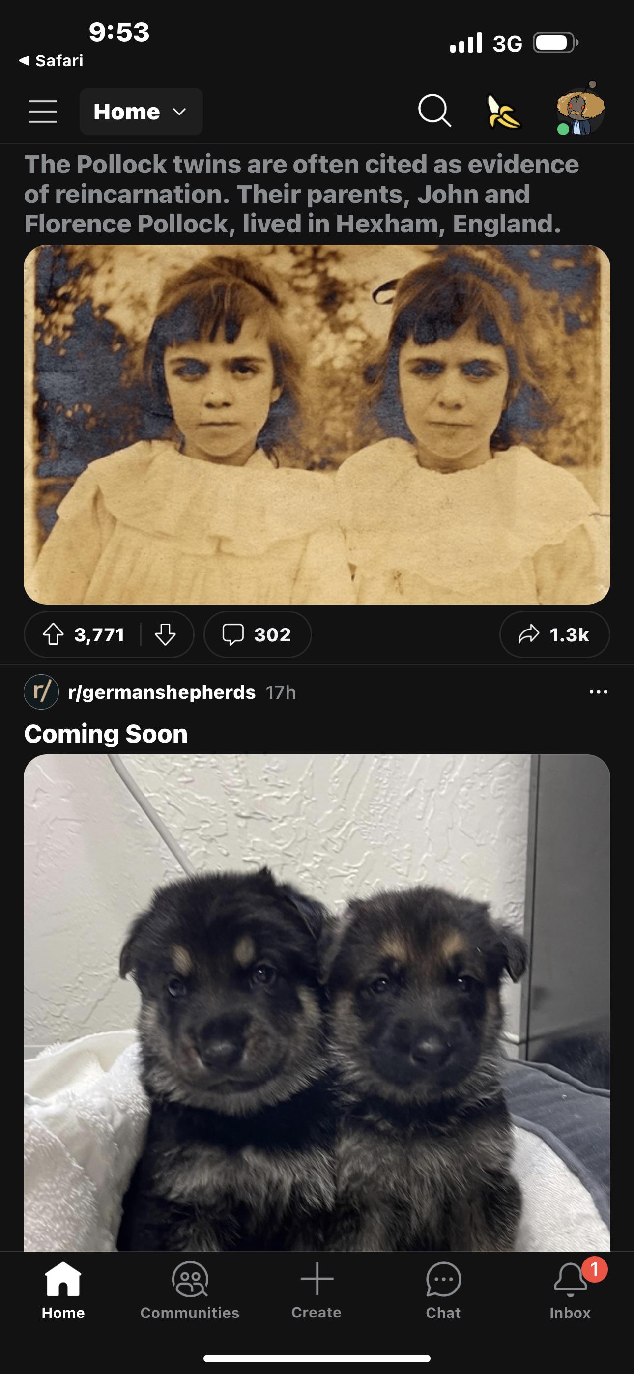 Coincidence | Scrolller