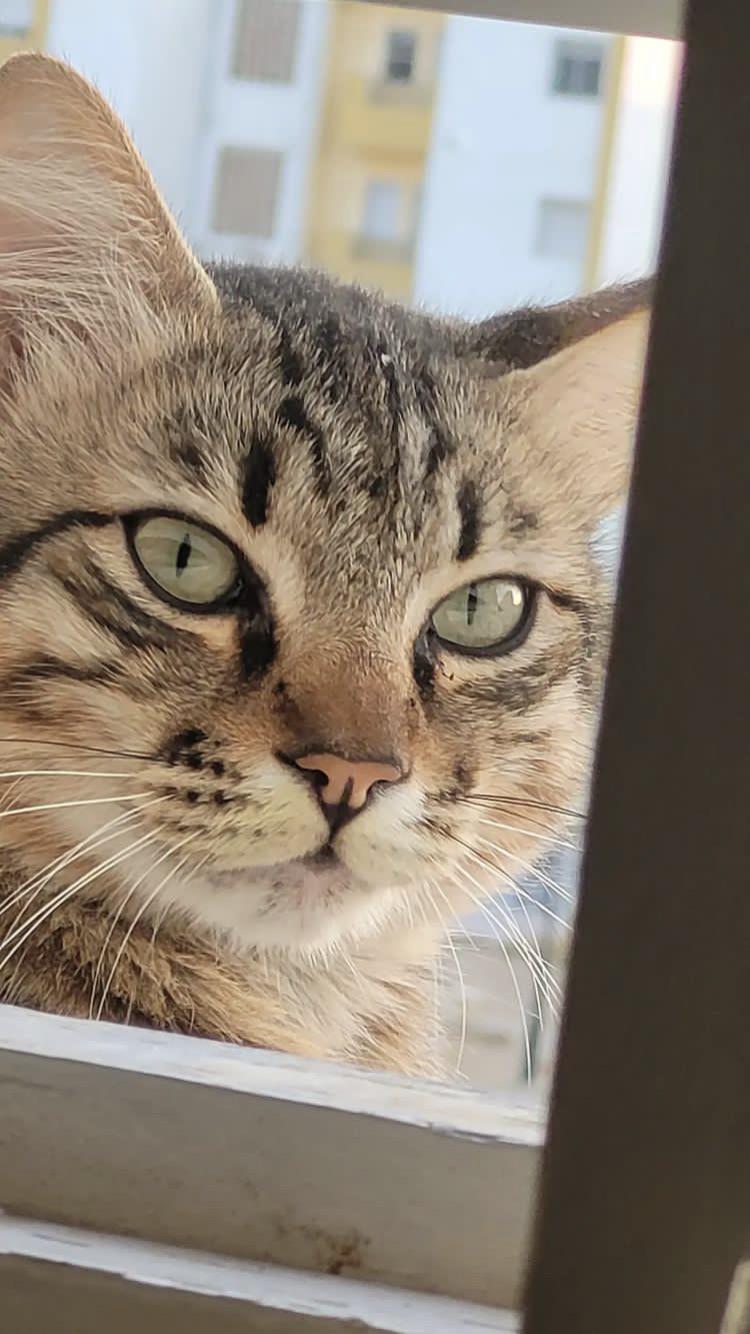 [OC] My distinguished gentleman | Scrolller