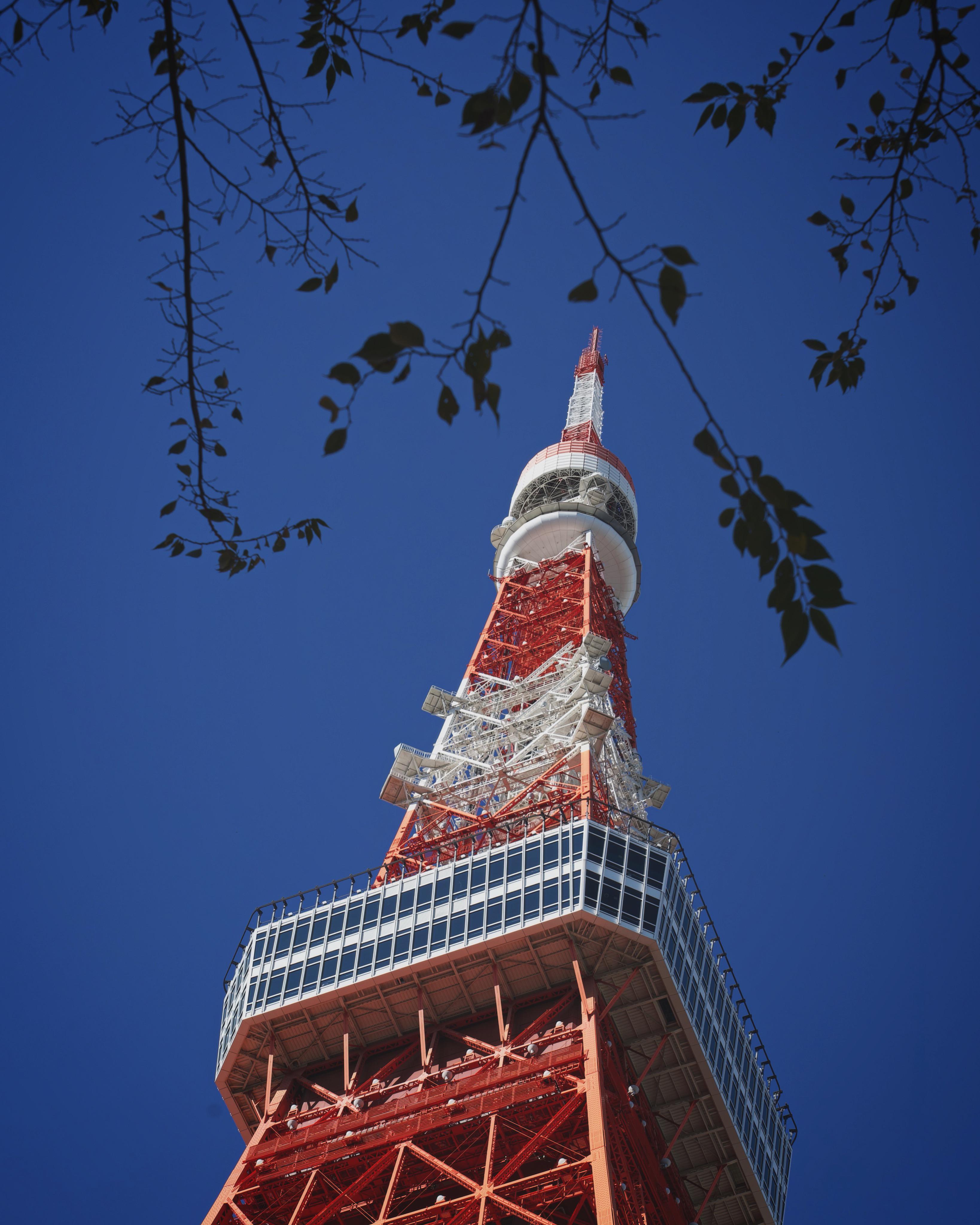 Tokyo Tower | Scrolller