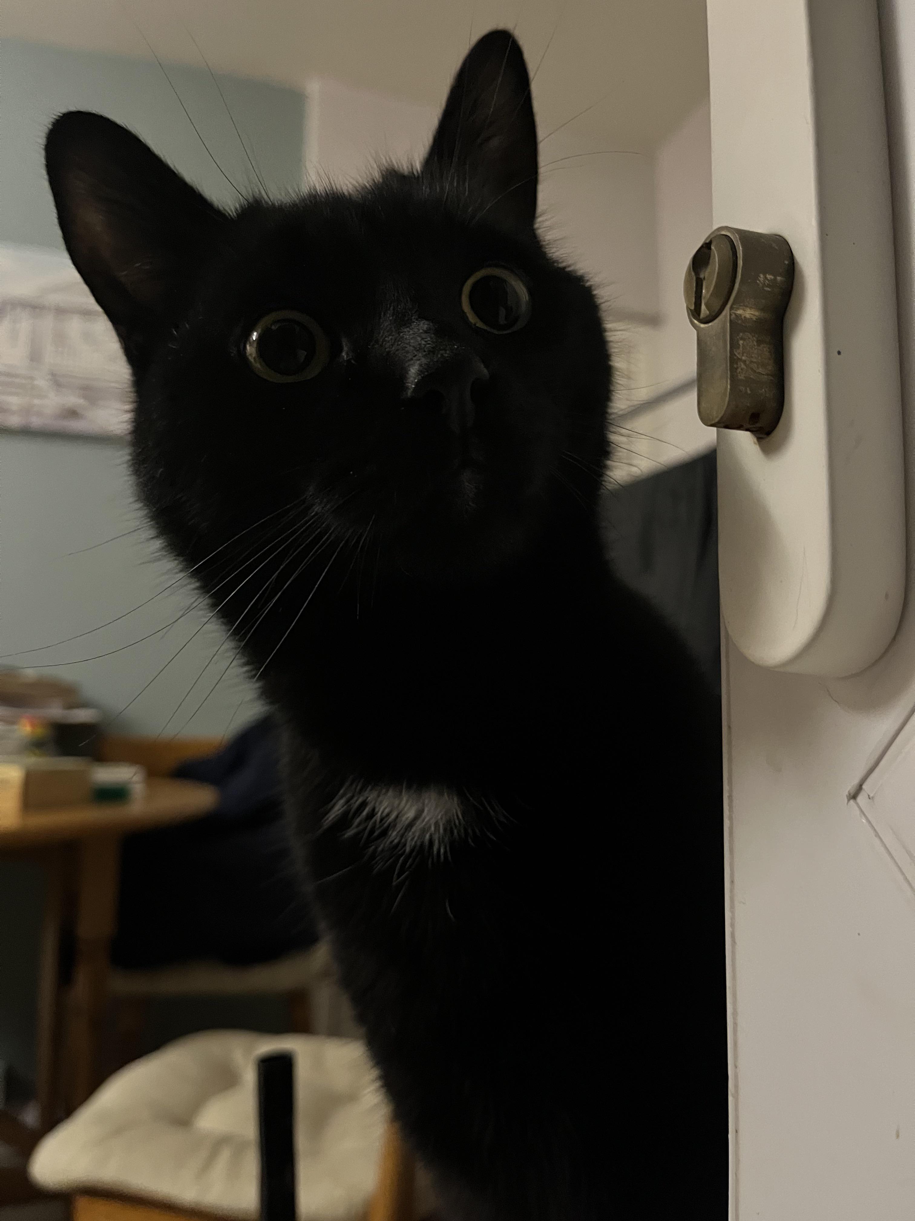 Caption this… | Scrolller