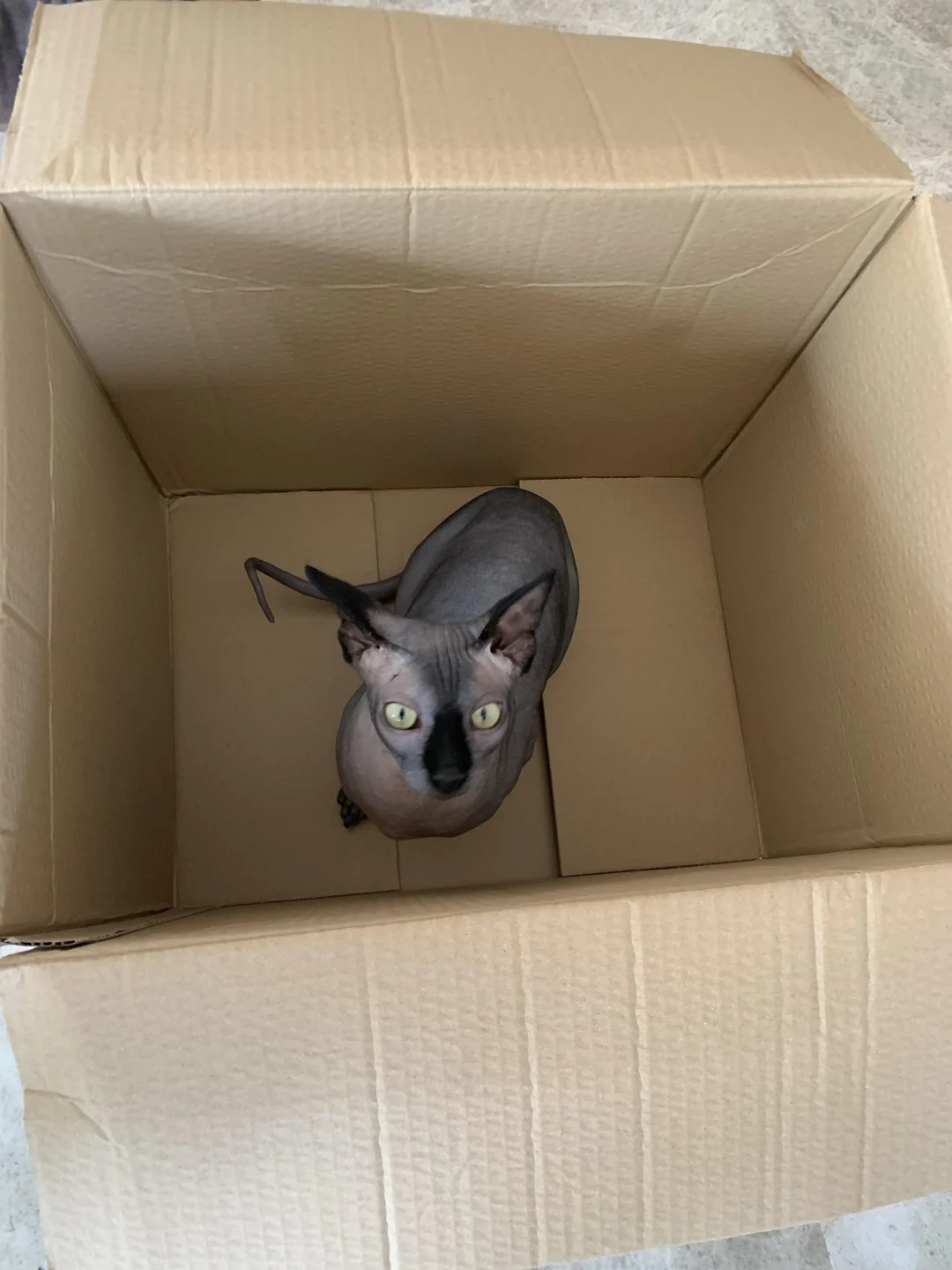 10 seconds. | Scrolller