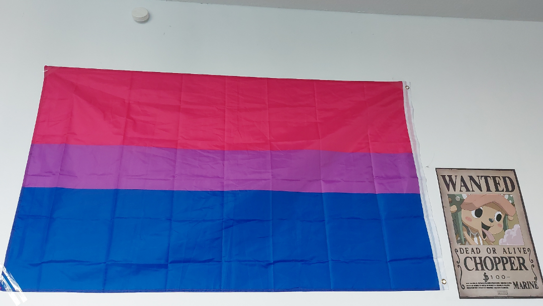 Got my first ever Pride flag! | Scrolller