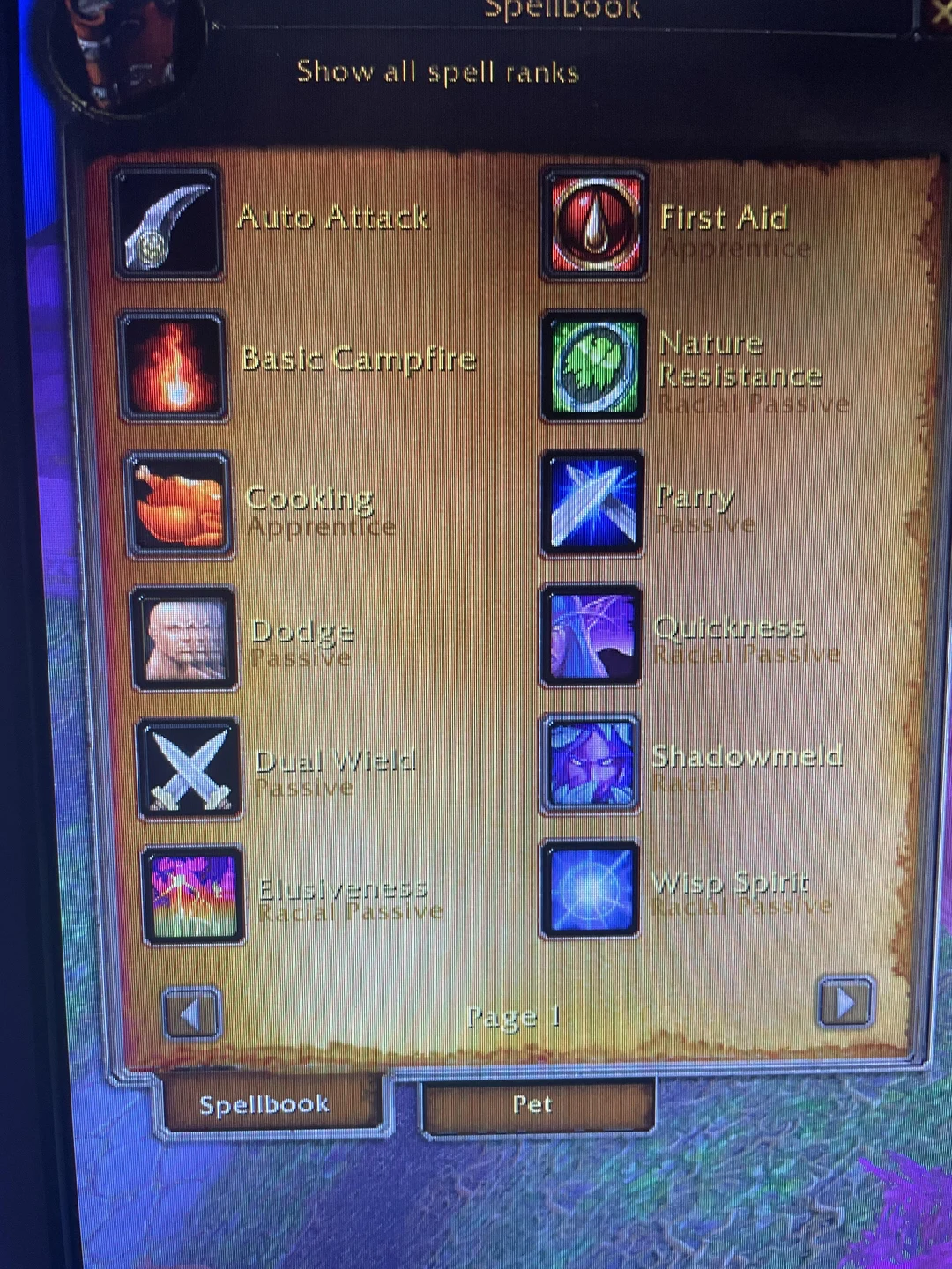 Why I don't have a pet training skill? What am i missing? [classic 30lvl hunter] | Scrolller