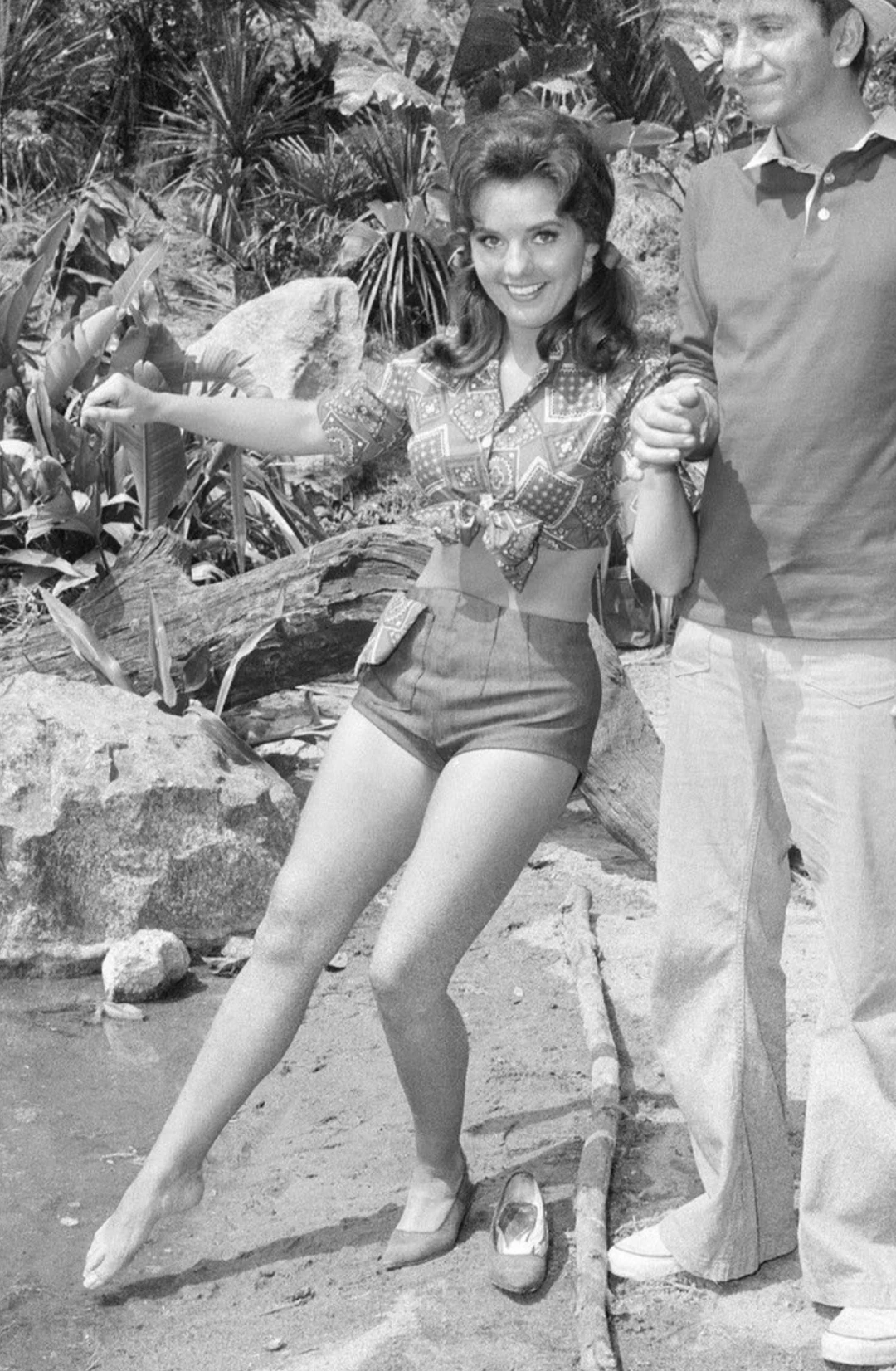 Dawn Wells | Scrolller