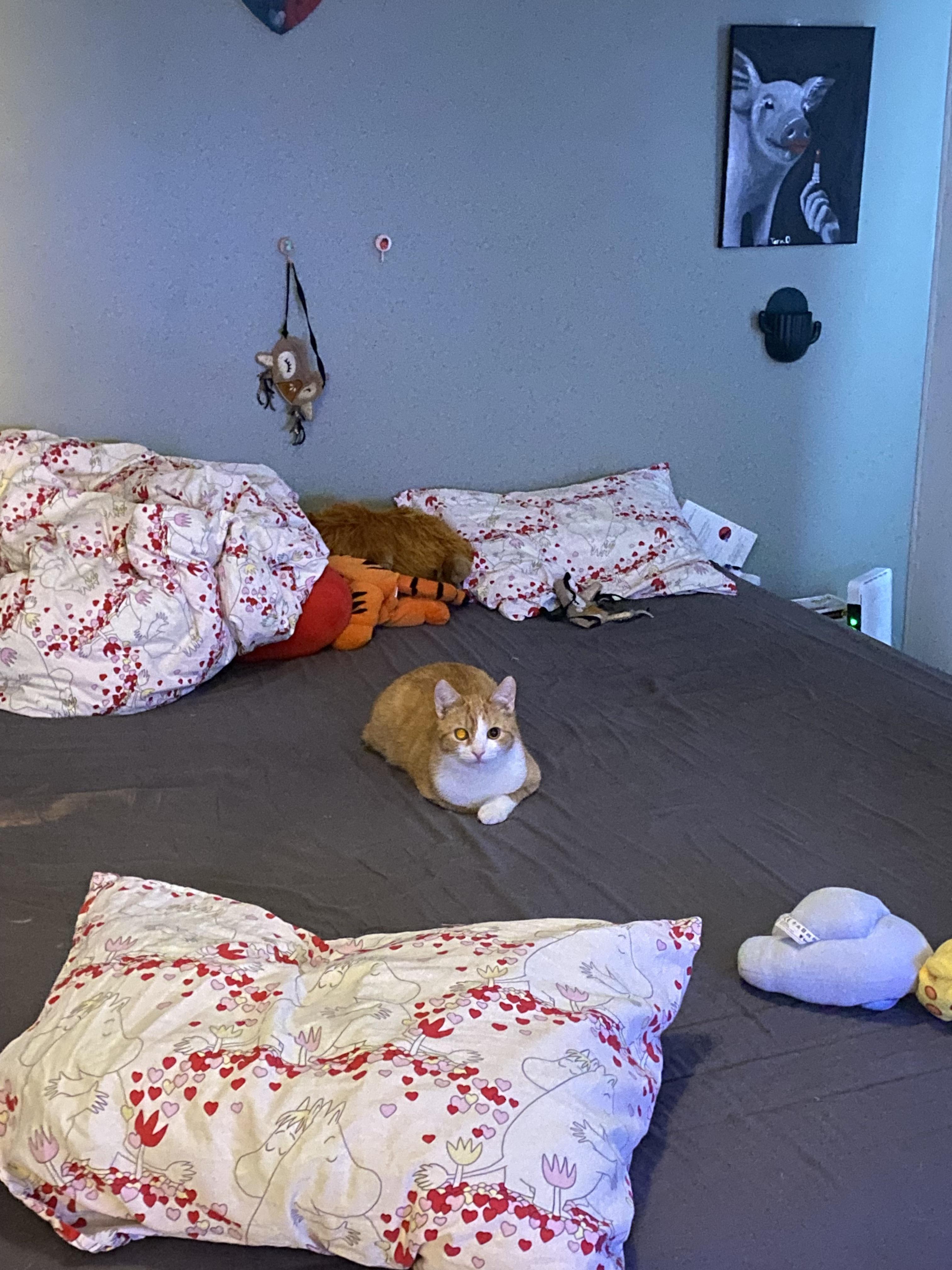 Help is this normal | Scrolller