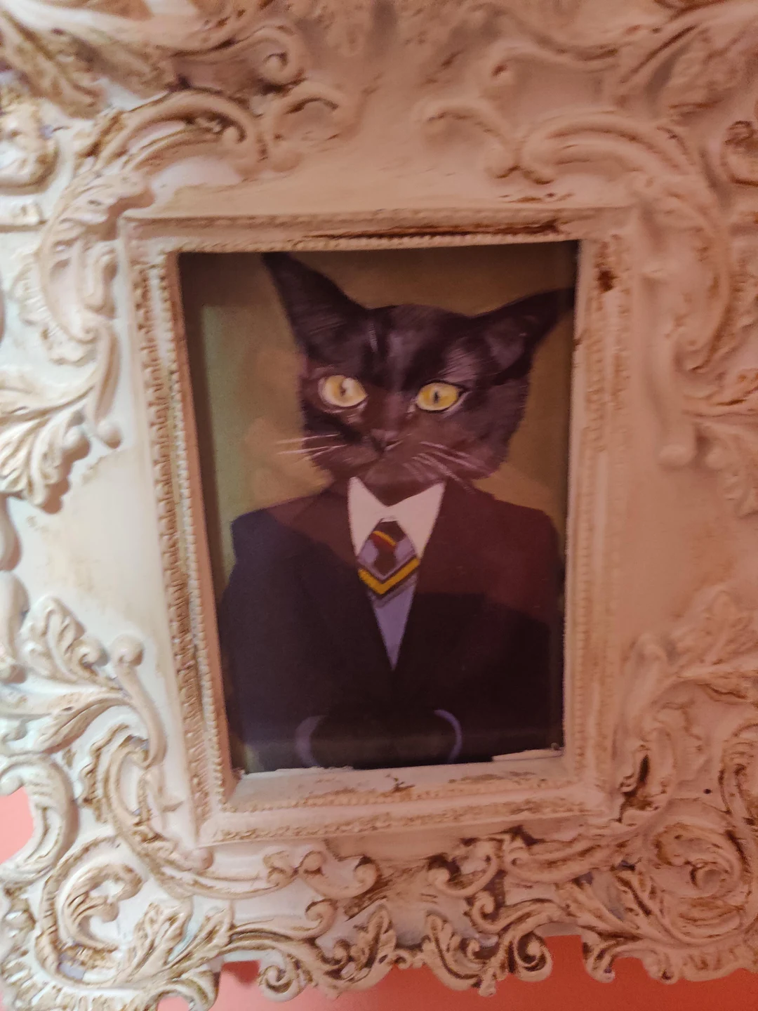 Found this at my local cat cafe. | Scrolller