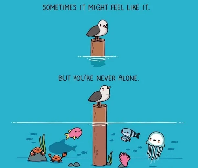 [Image] Keep moving | Scrolller