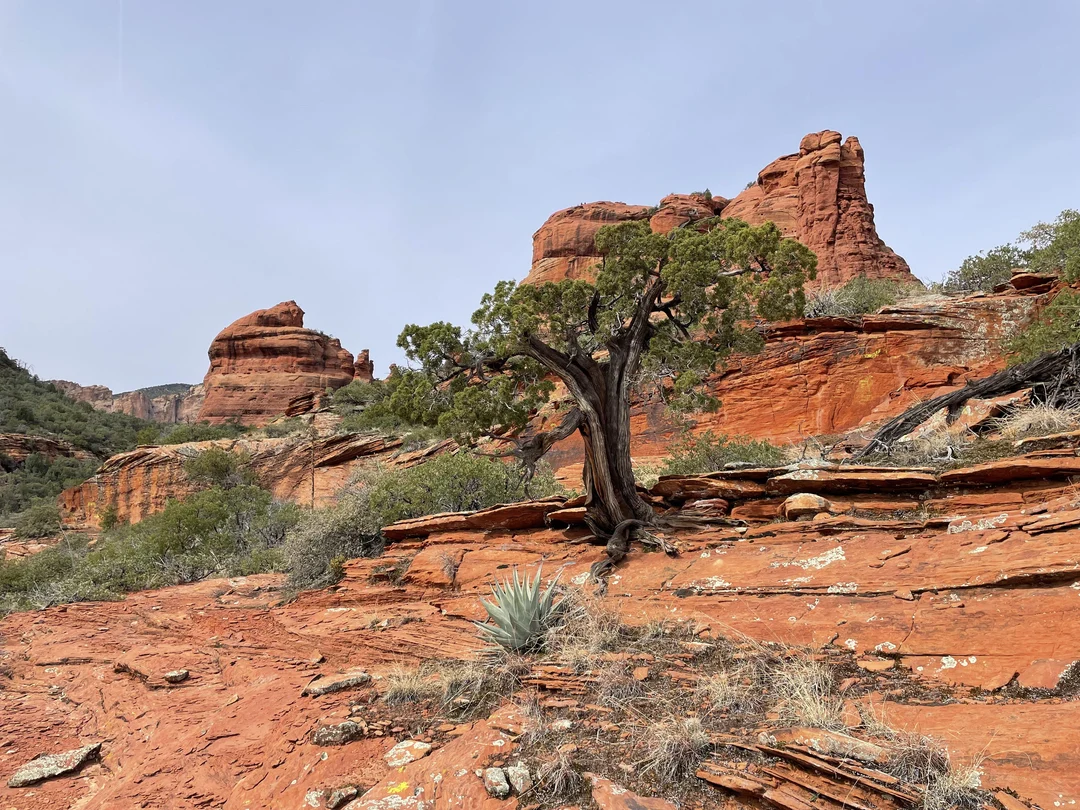 Long Canyon, Sedona, Arizona [OC] [4032x3024] | Scrolller