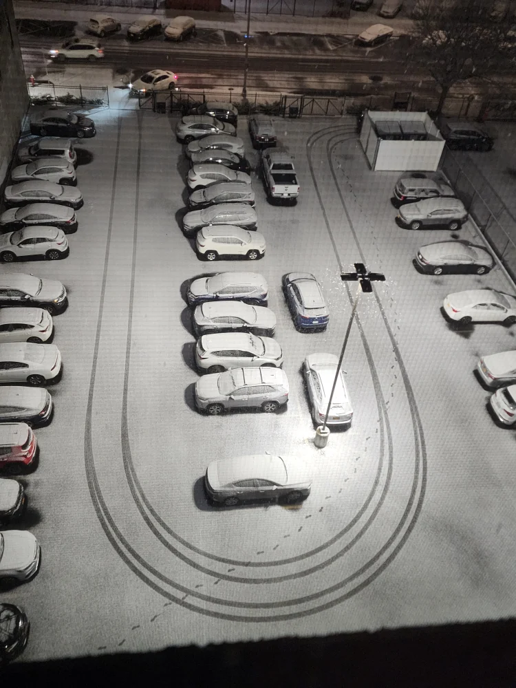 Returning Home | Scrolller