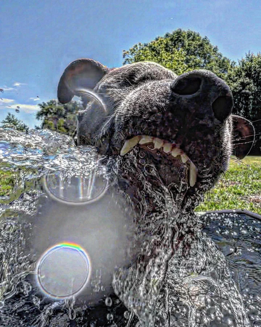 Yummm, water! | Scrolller