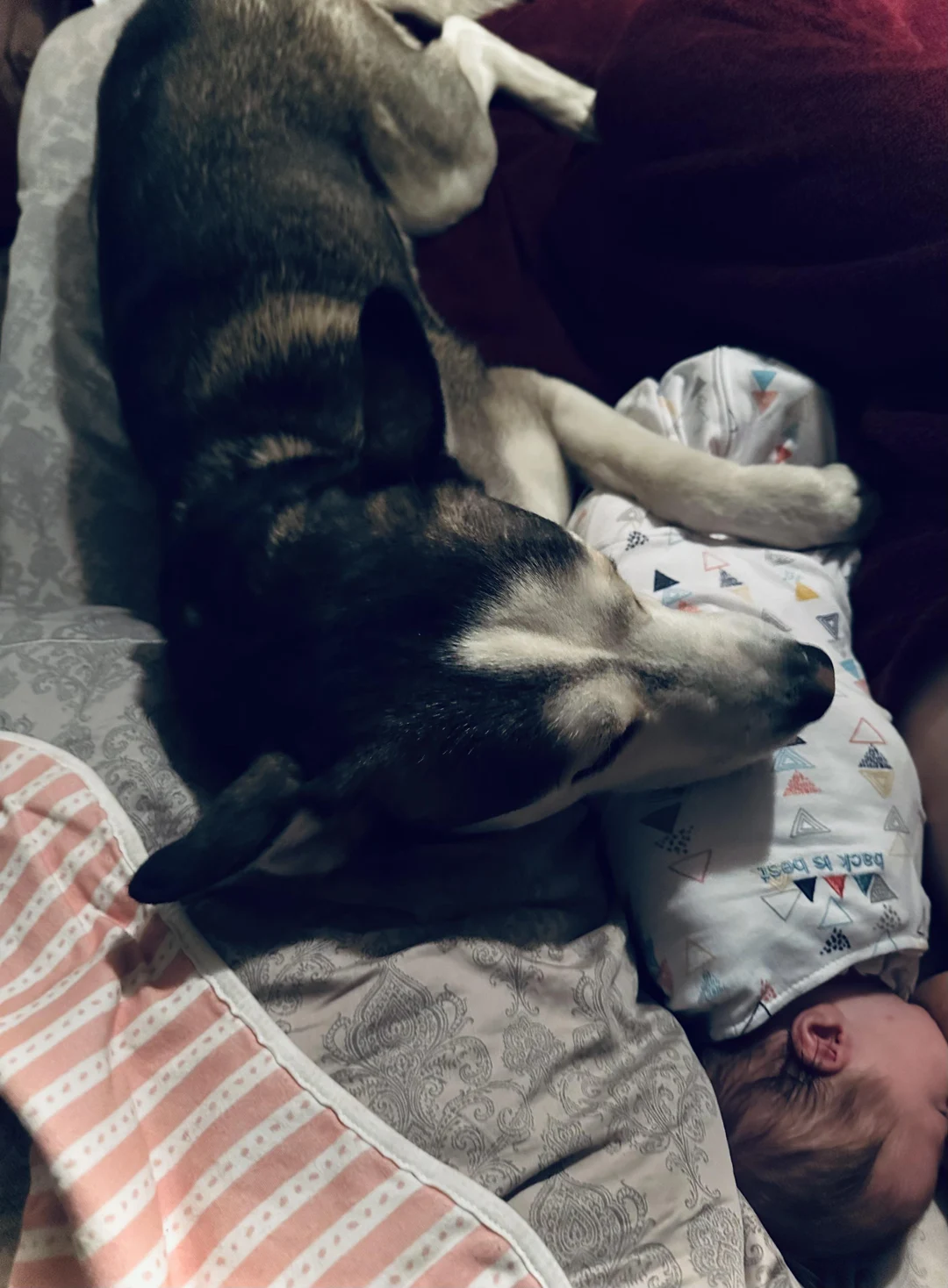 Huskies and babies | Scrolller