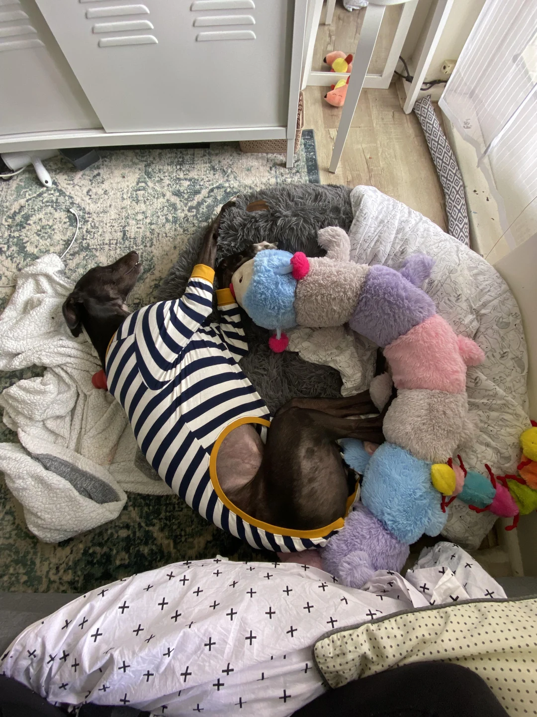 Is this a bed fail OR secretly the best way to use a bed according to Charlie? | Scrolller