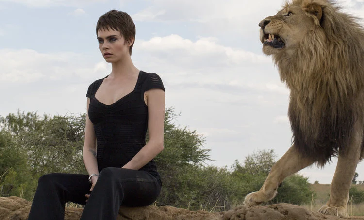 Fearless | Scrolller