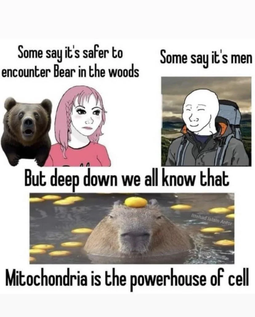 knowledge is power | Scrolller