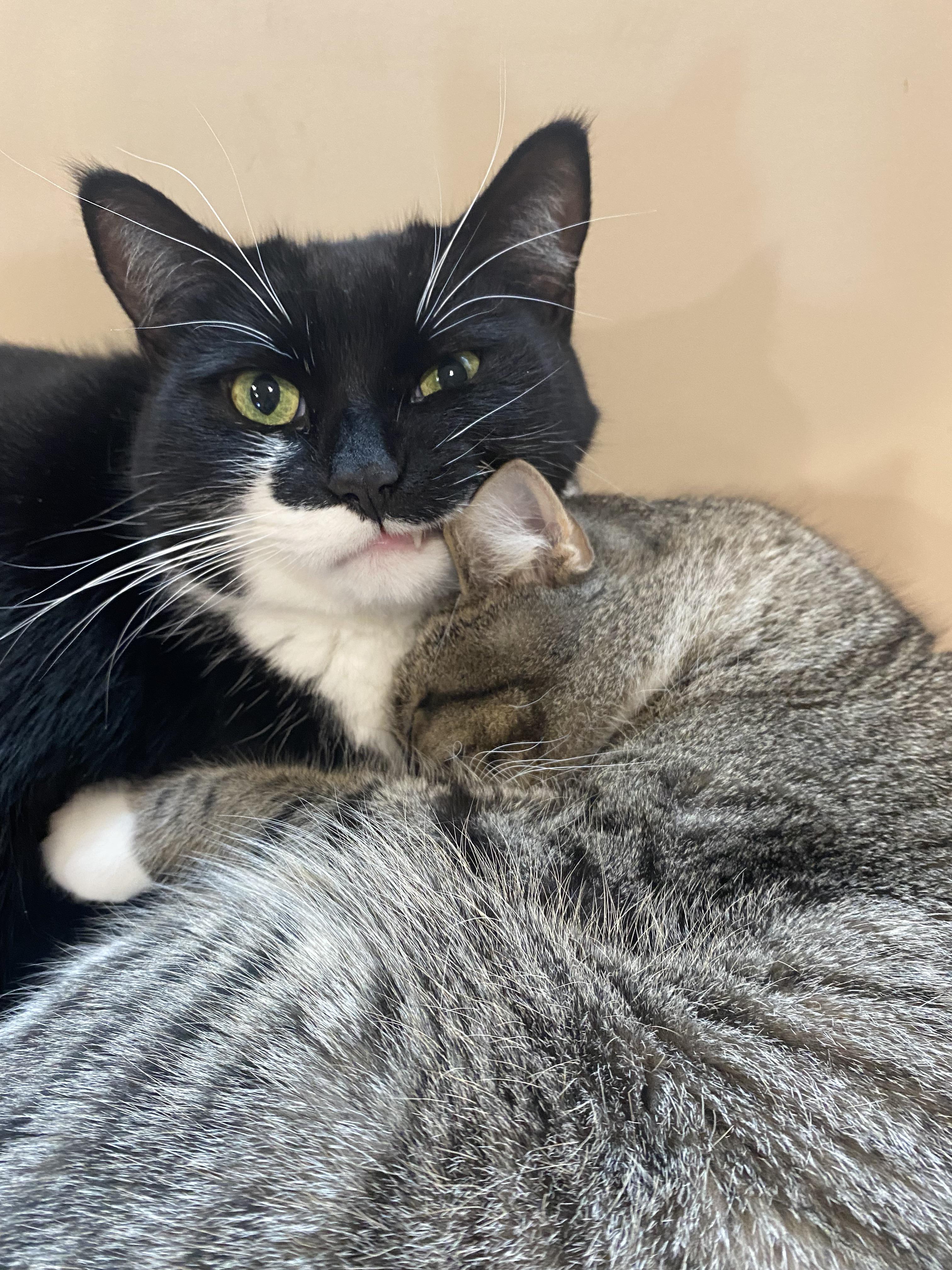 Cuddle bugs! | Scrolller