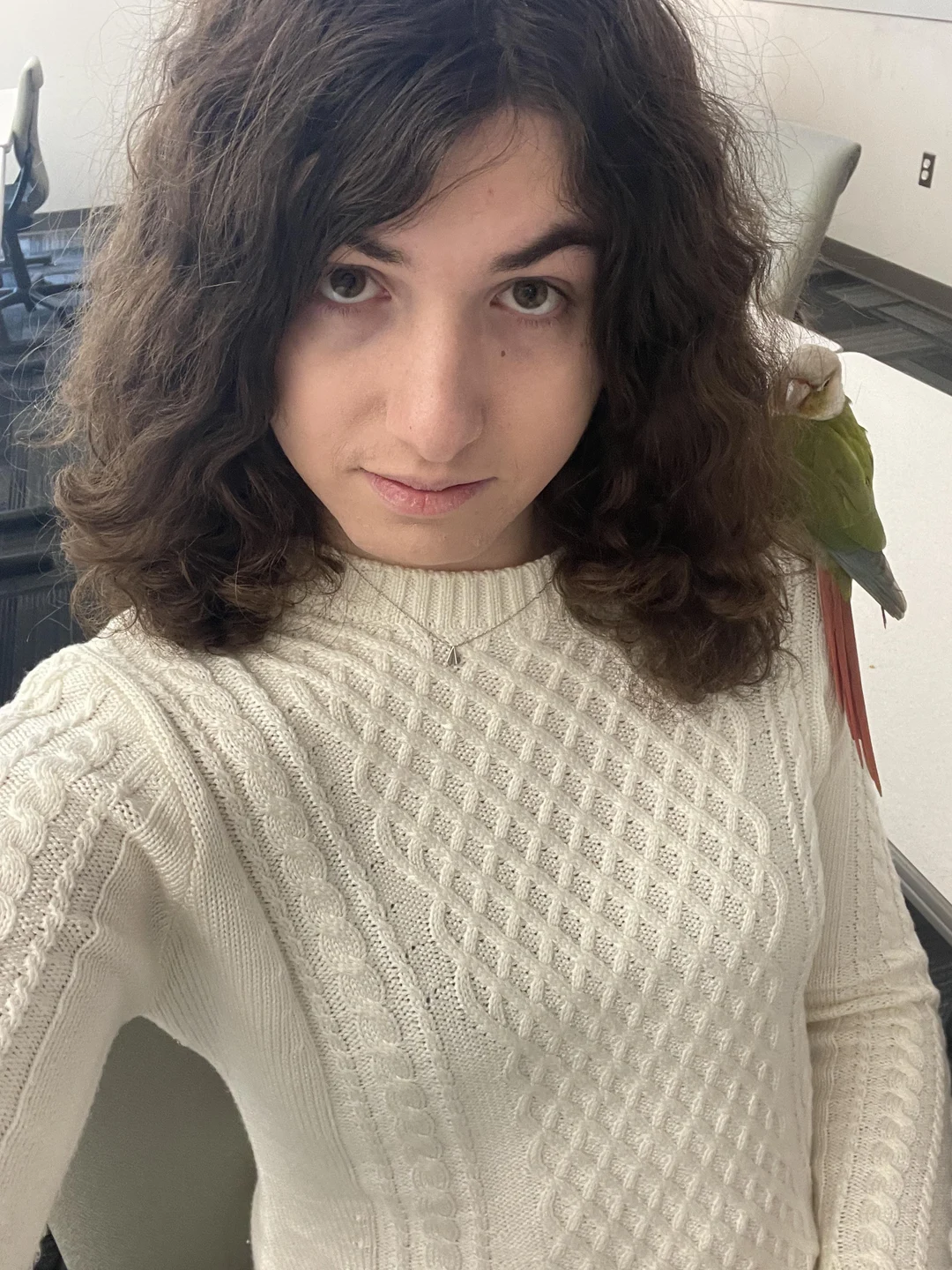 It seems becoming a girl has not affected how much conures seem to love me! | Scrolller