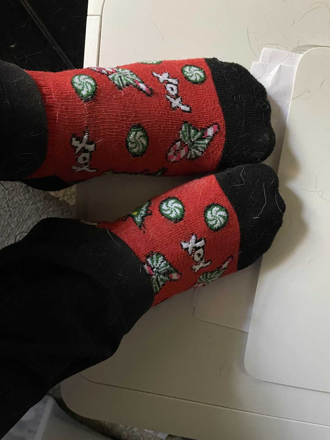 Stinky Socks | Scrolller