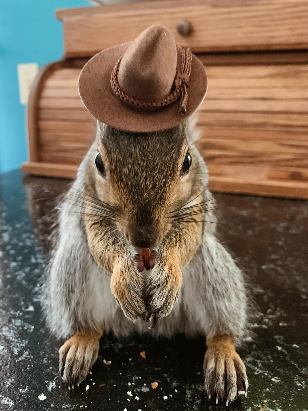 Howdy, folks! | Scrolller