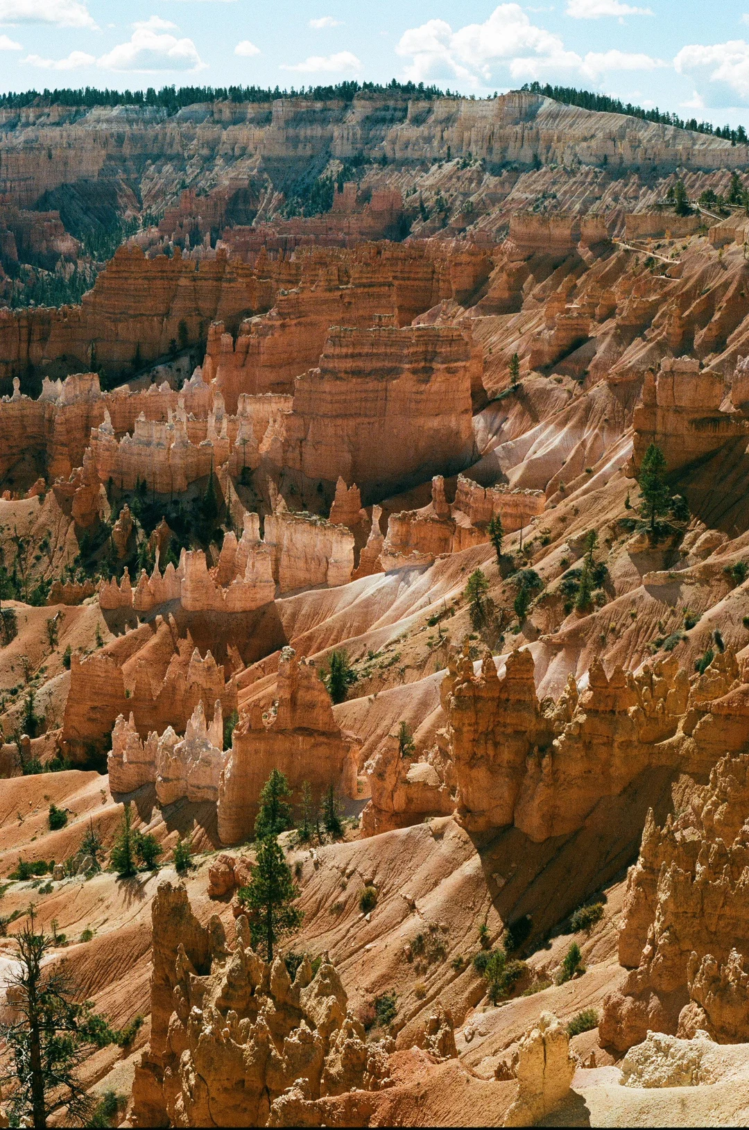 Bryce Canyon National Park, Utah [OC] [2075 x 3130] | Scrolller