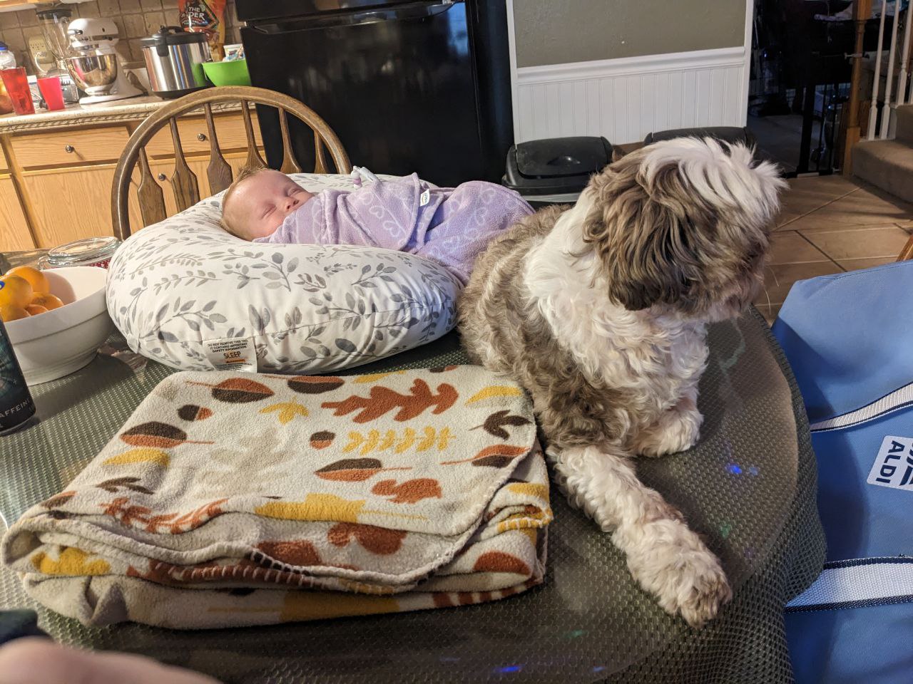 Guarding the Princess | Scrolller