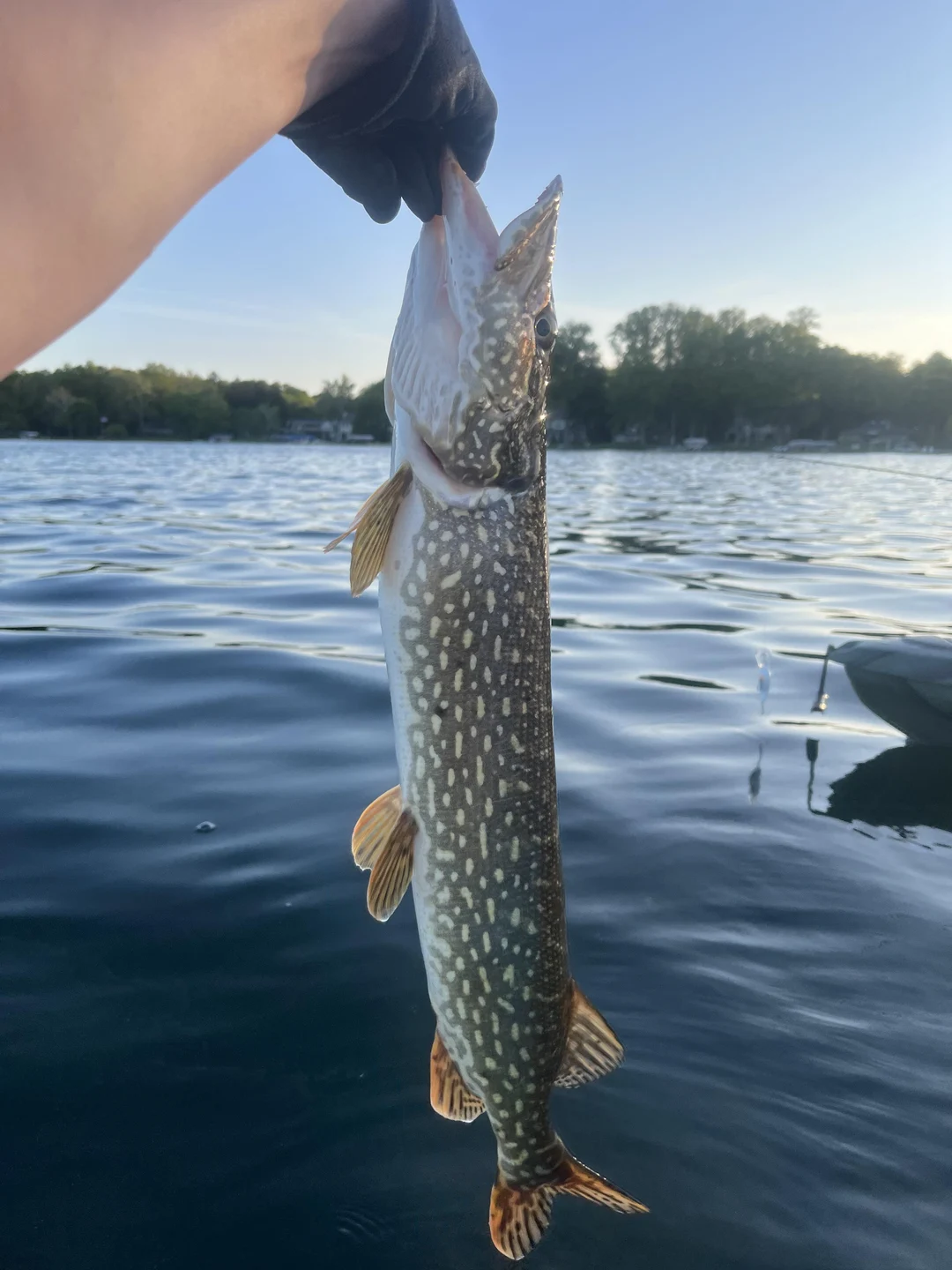 First pike!!! | Scrolller