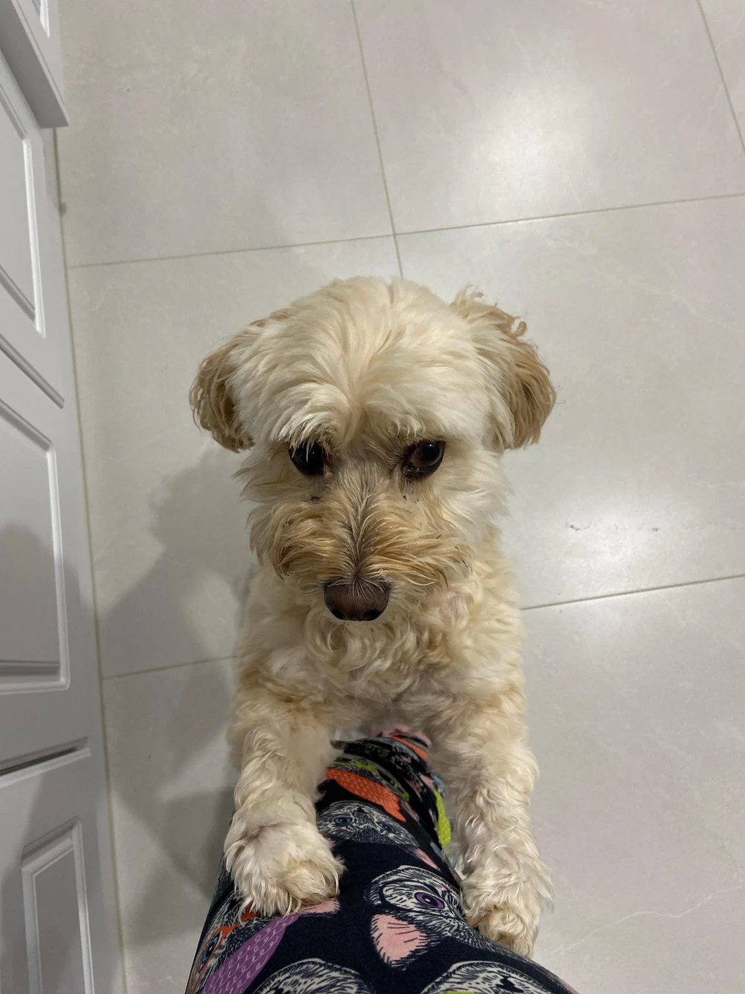 Trying to look cute after getting dirty digging. | Scrolller