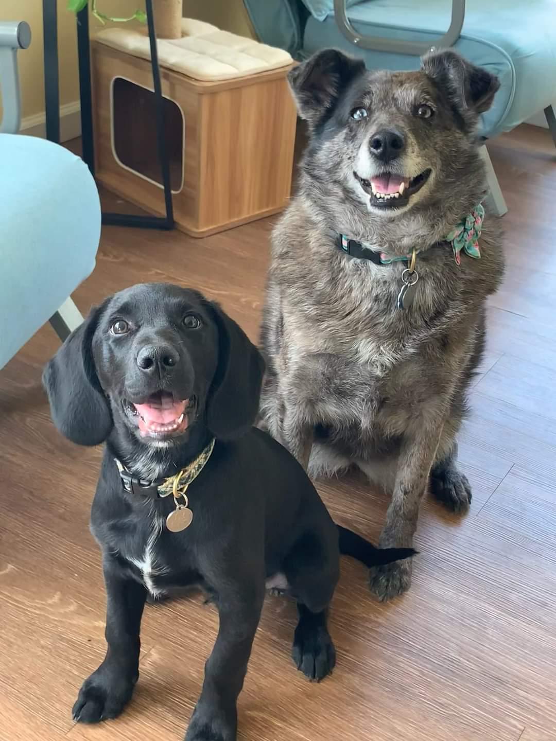 Lil Bro and Big Sis | Scrolller