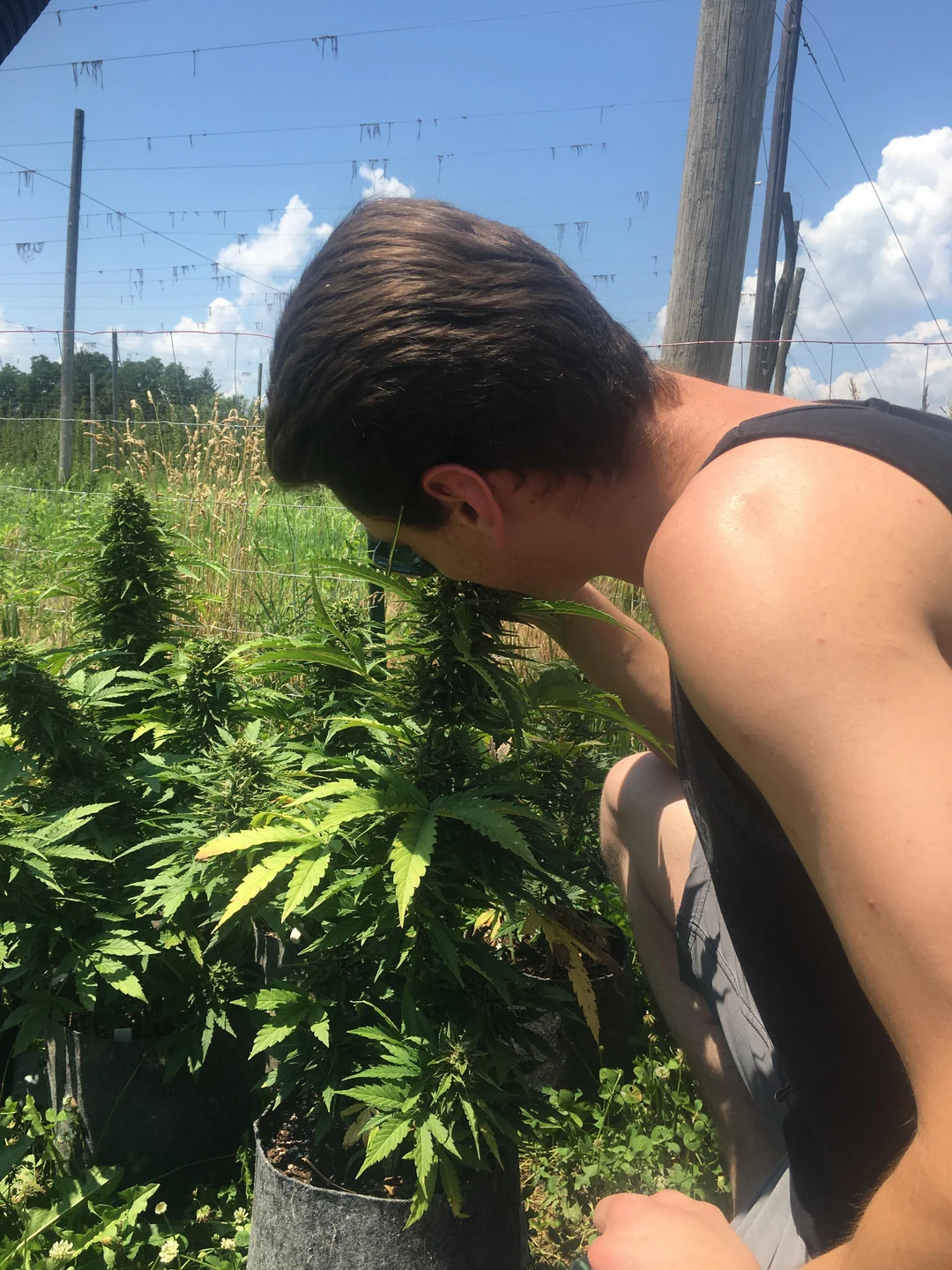 Wake up and smell the flowers | Scrolller